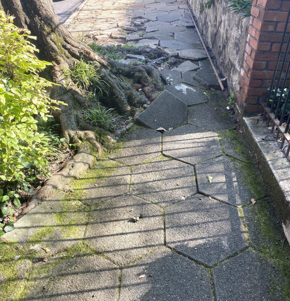 Walk-a-what? What Walkability Means, and Why It's So Important ...