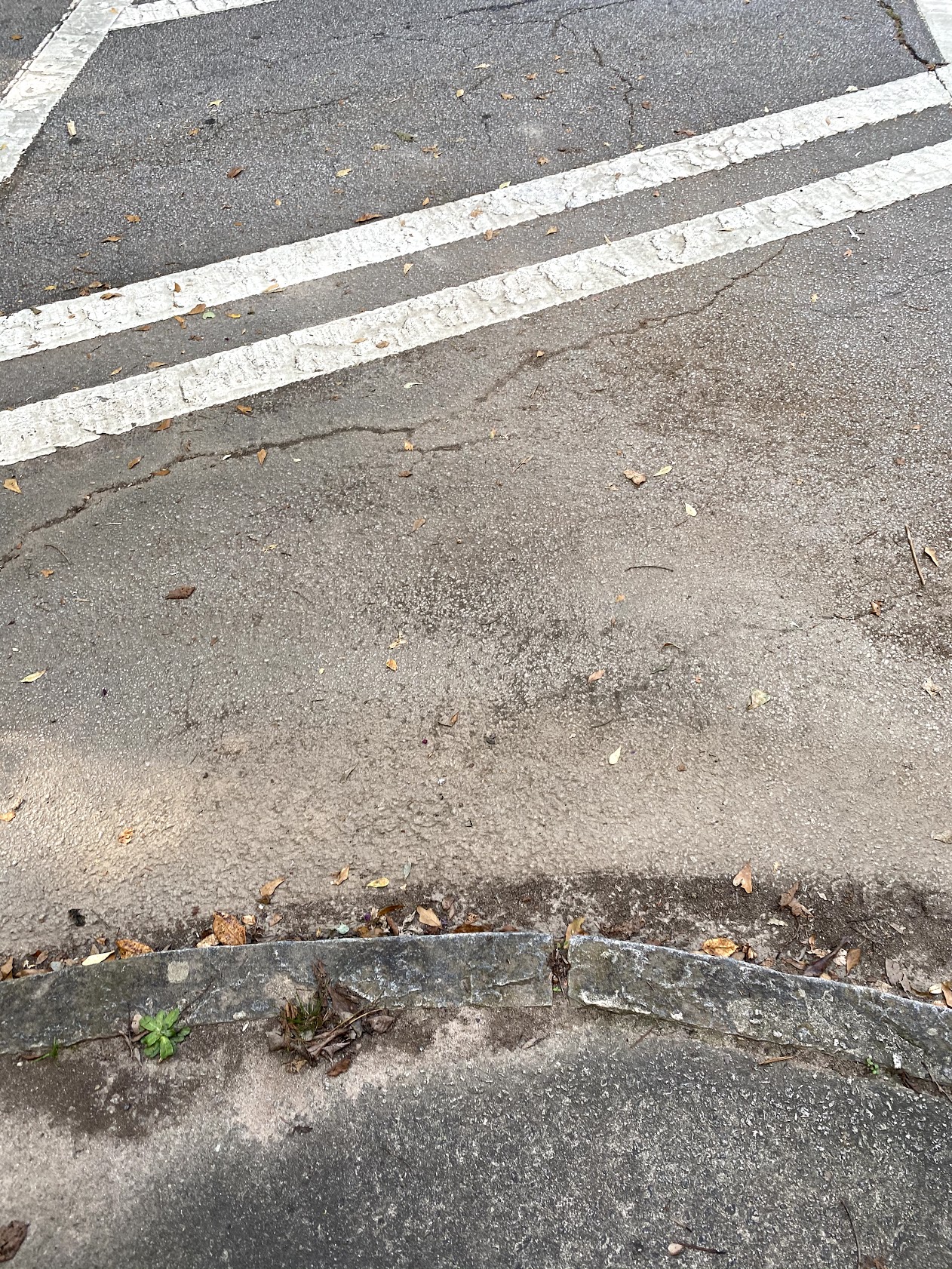 Walk-a-what? What Walkability Means, and Why It's So Important ...