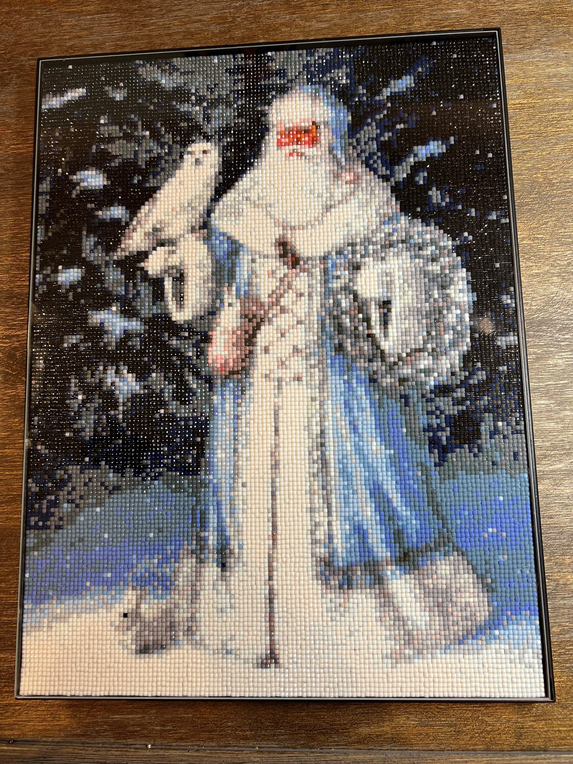 Diamond Painting – An Easy to Learn Crafting Project - Empowerline