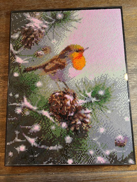 Diamond Painting – An Easy to Learn Crafting Project - Empowerline